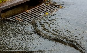 What Are the Different Types of Drains and How Do I Tell Them Apart ...
