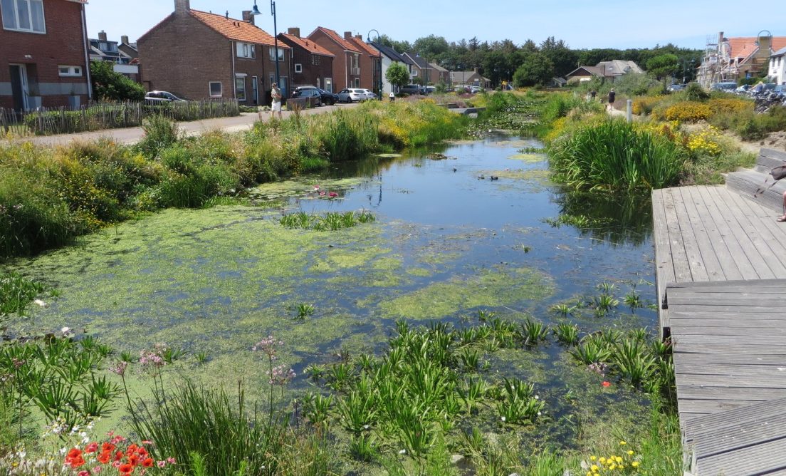 The Future of Drainage in the UK: Embracing Sustainable Solutions with ...